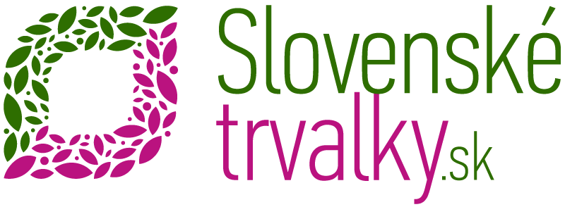 10 TRVALIEK ISTOTY (slnko, sucho) | SlovenskeTrvalky.sk